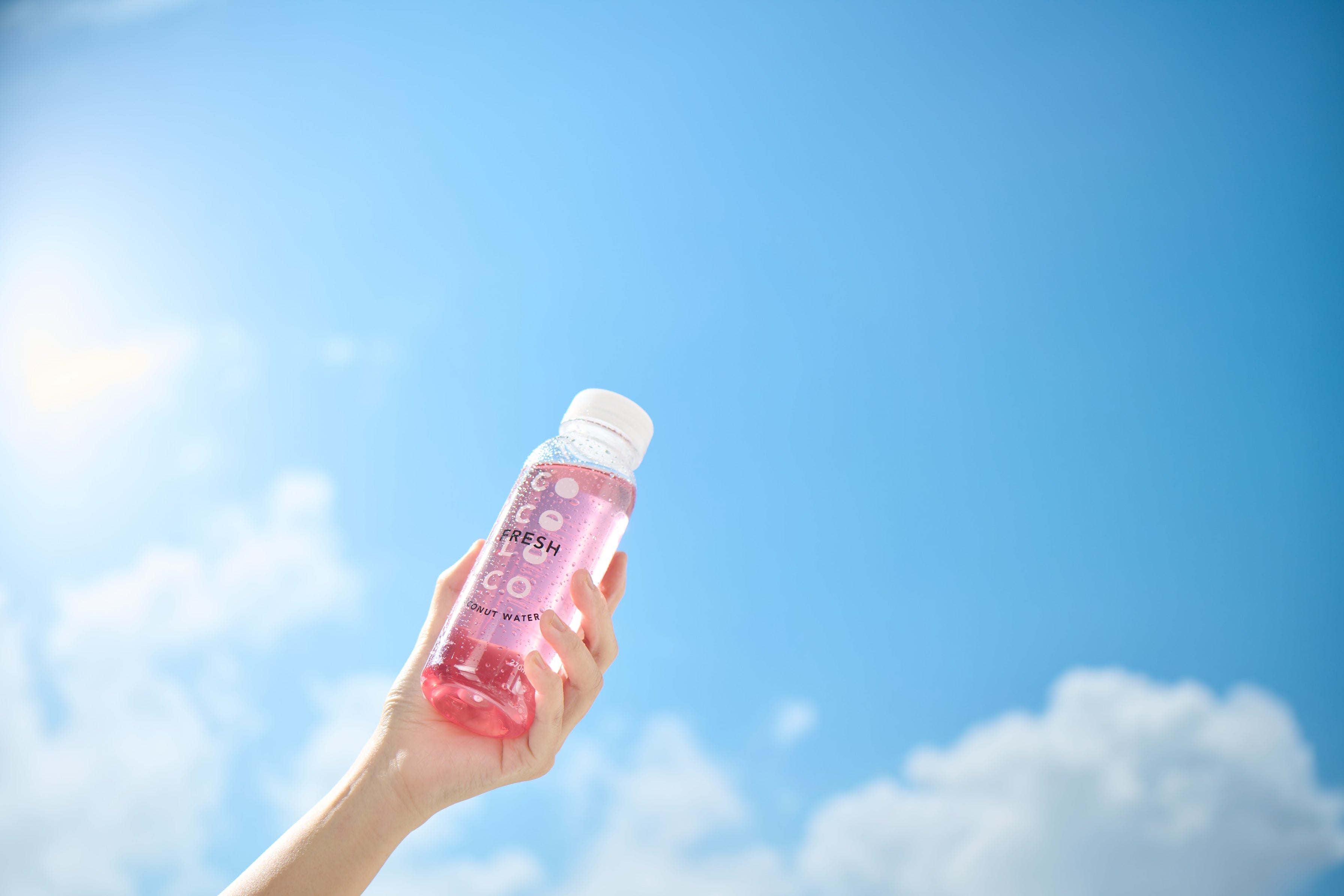 Coconut – Goodsome Supplies