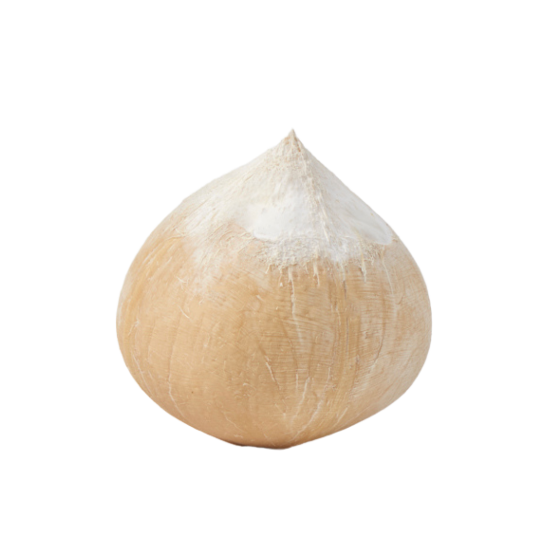 Young coconut core (Droplet) – Goodsome Supplies